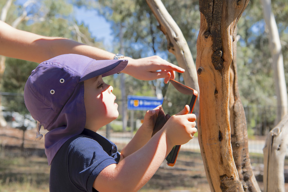 ELSA in Action - Early Learning STEM Australia (ELSA) Program
